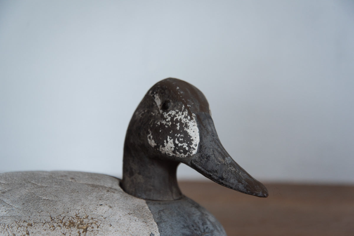 DUCK OBJECT – ARKESTRA